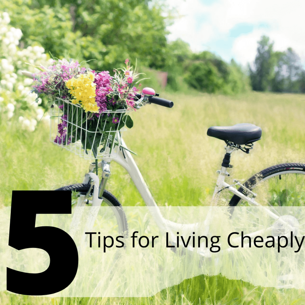5 Tips for Living Cheaply - Simple Life of a Country Wife