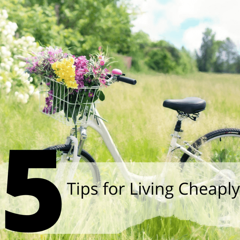 5 Tips for Living Cheaply - Simple Life of a Country Wife