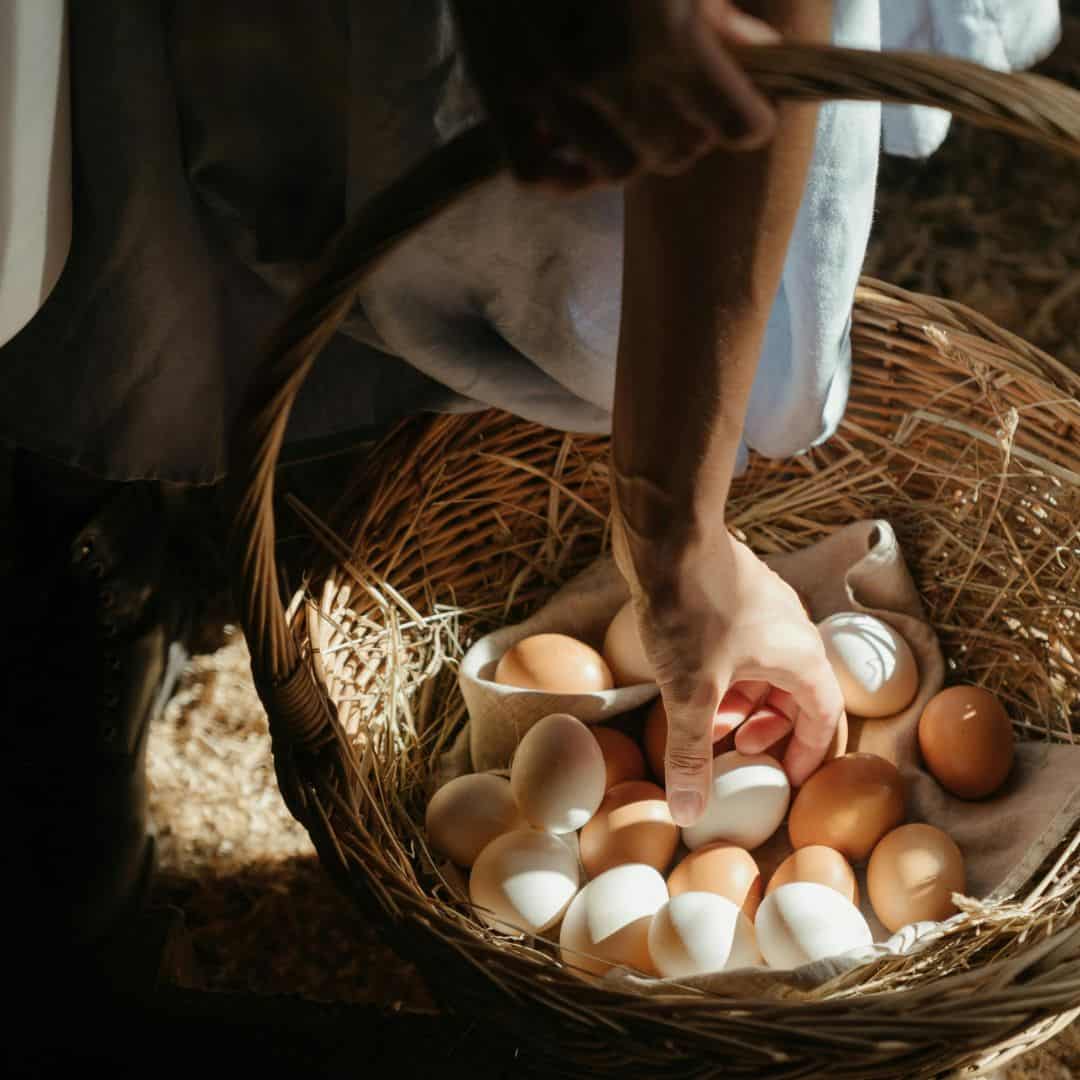 14 of the Best Homesteading Shows