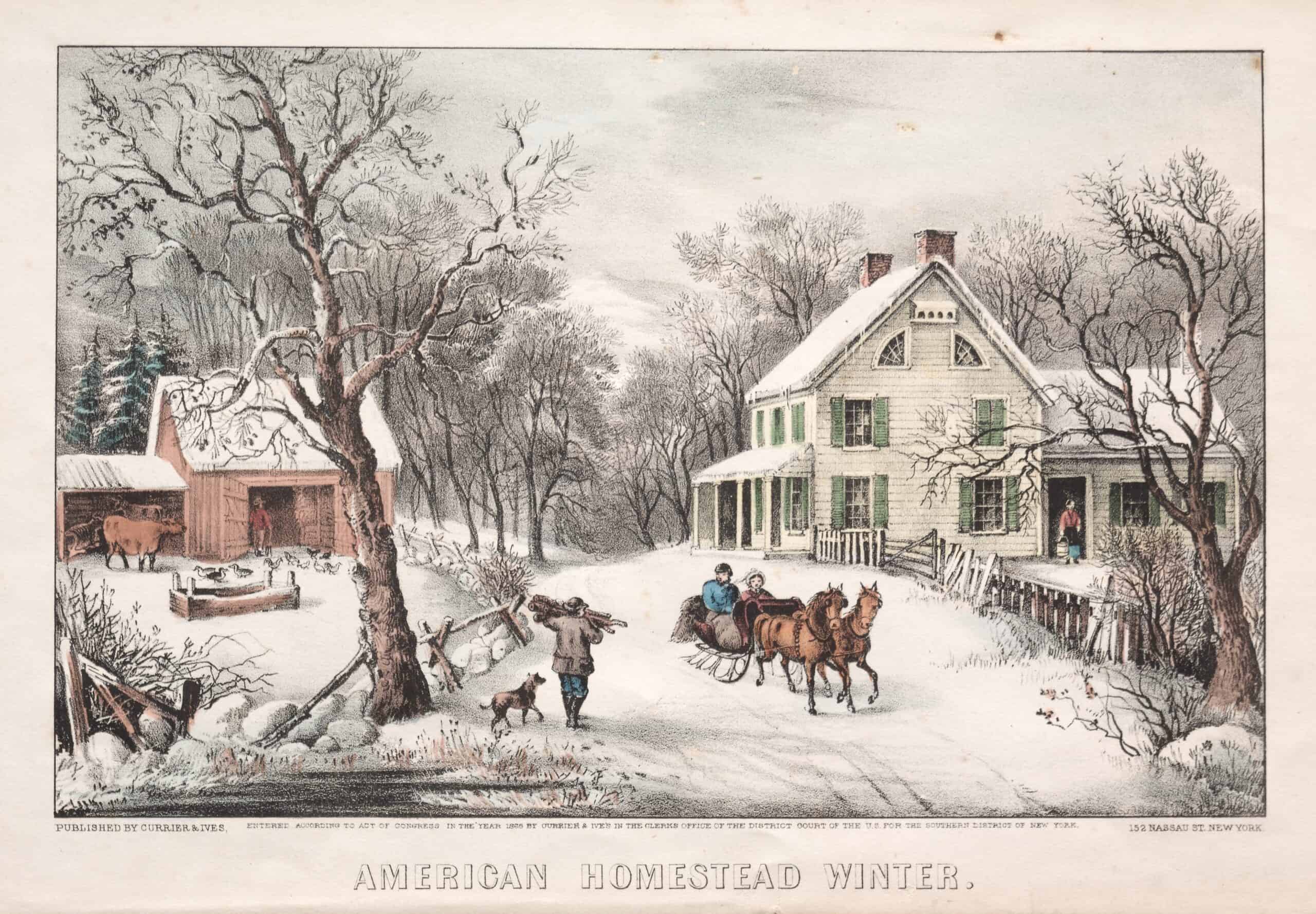 11 Things to do on the Homestead in the Winter